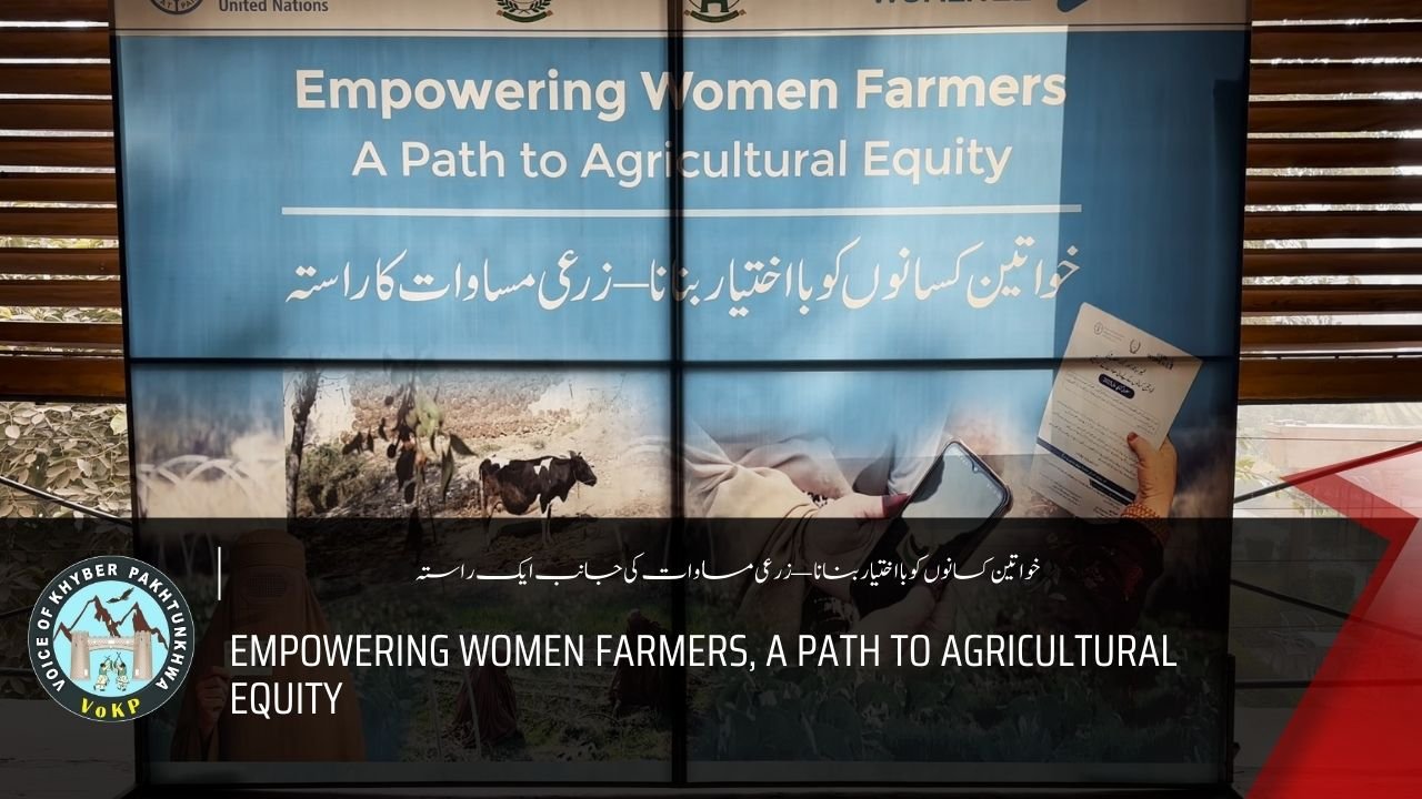 Empowering Women Farmers: A Path to Agricultural Equity - Voice of KP ...